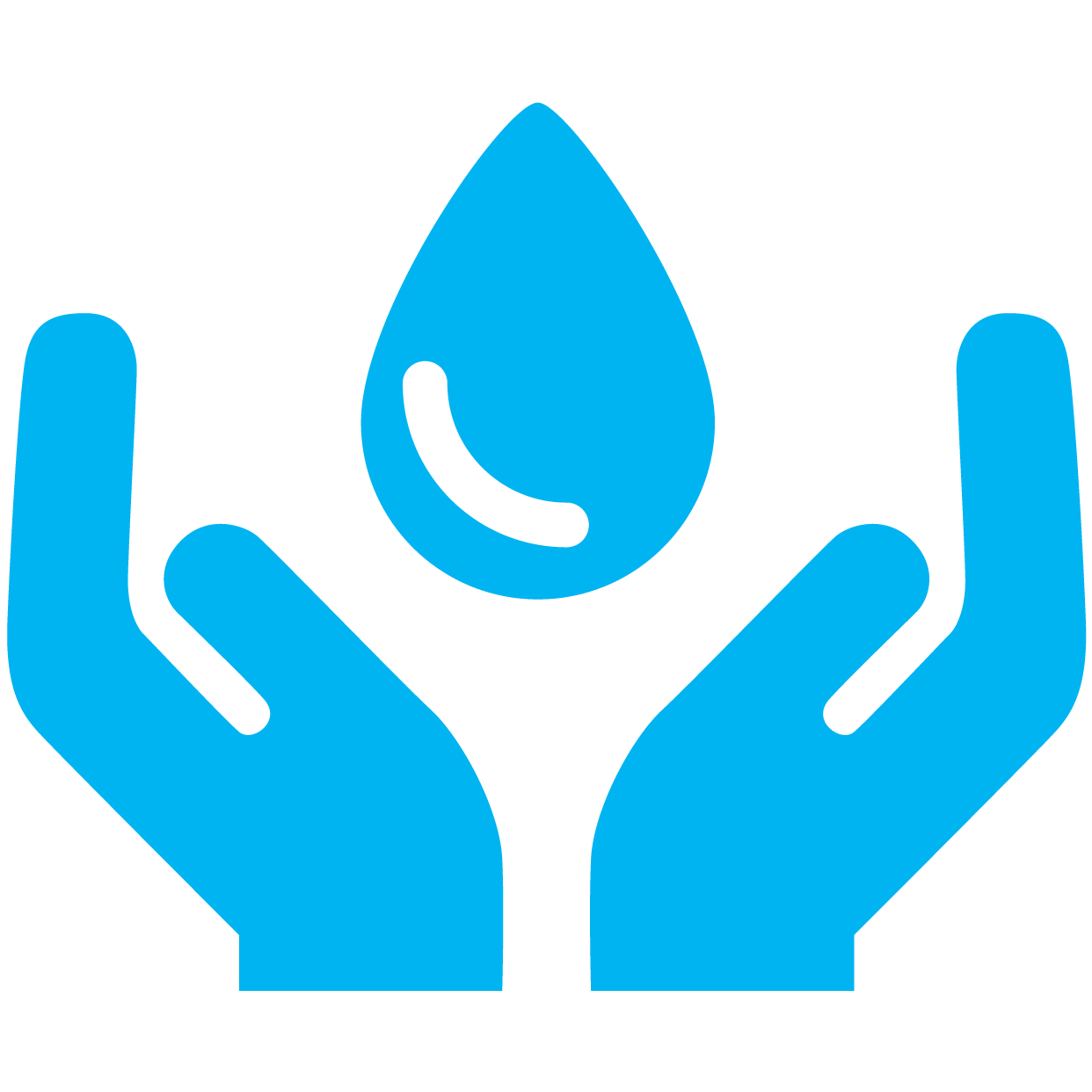 The Need – Waimea Water