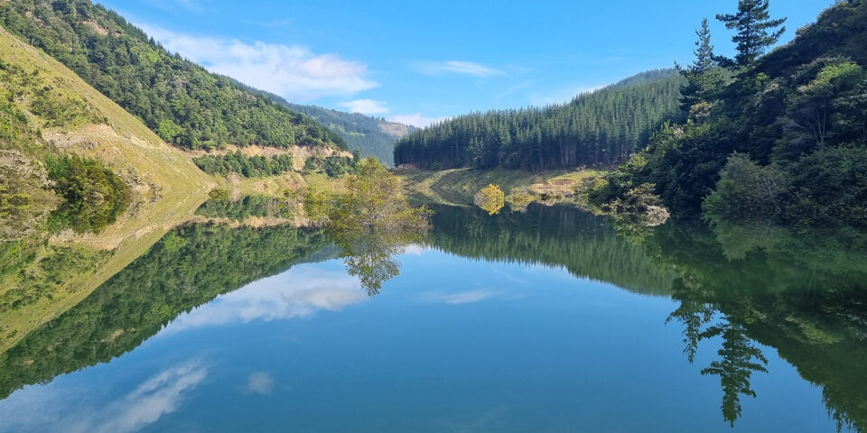 The Waimea Community Dam – Waimea Water